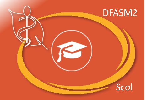 Section : DFASM2 | Scolarité DFASM2 2024-2025 | Moodle - Lyon1